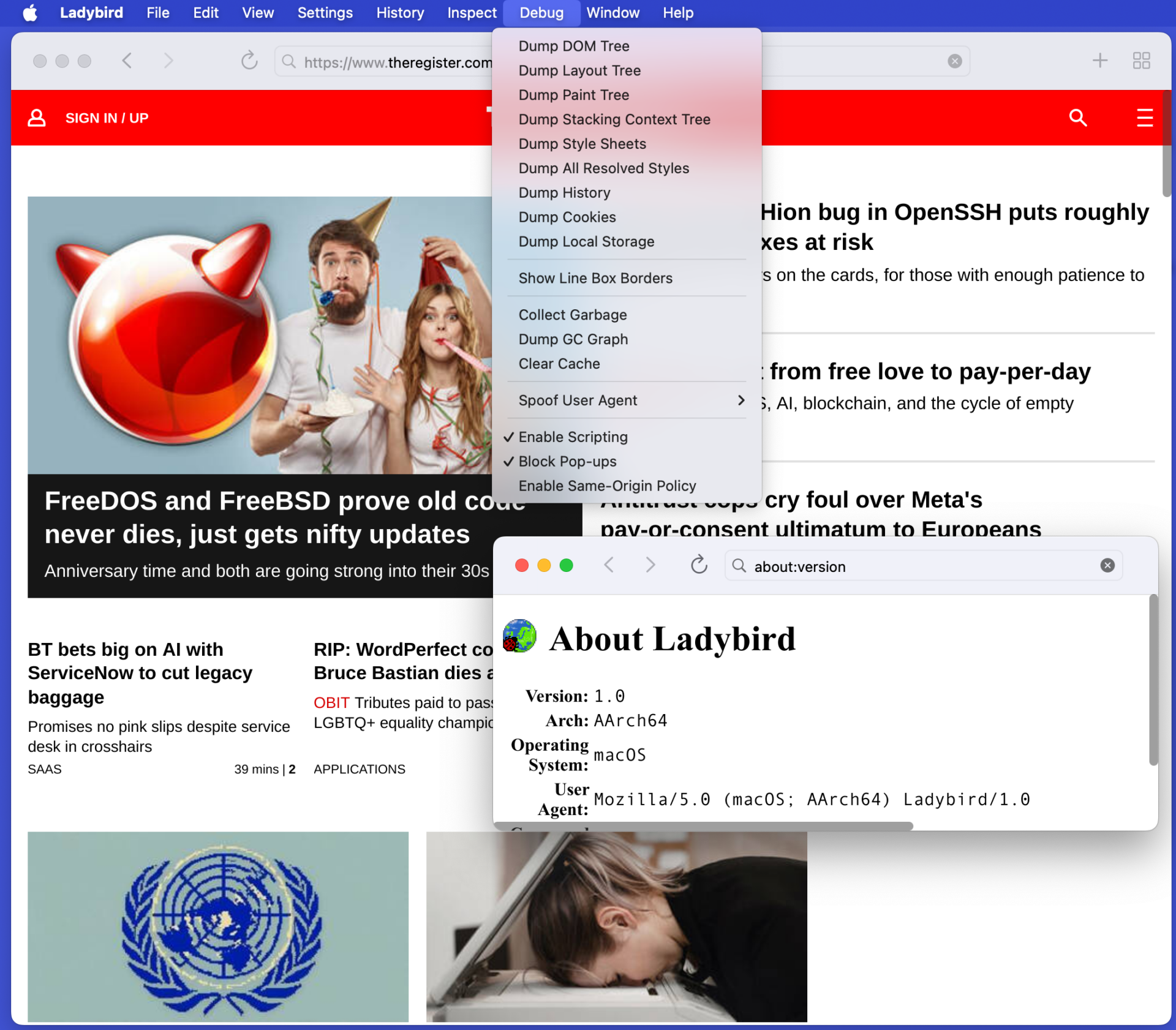 Ladybird web browser now funded by GitHub co-founder, promises 'no code ...